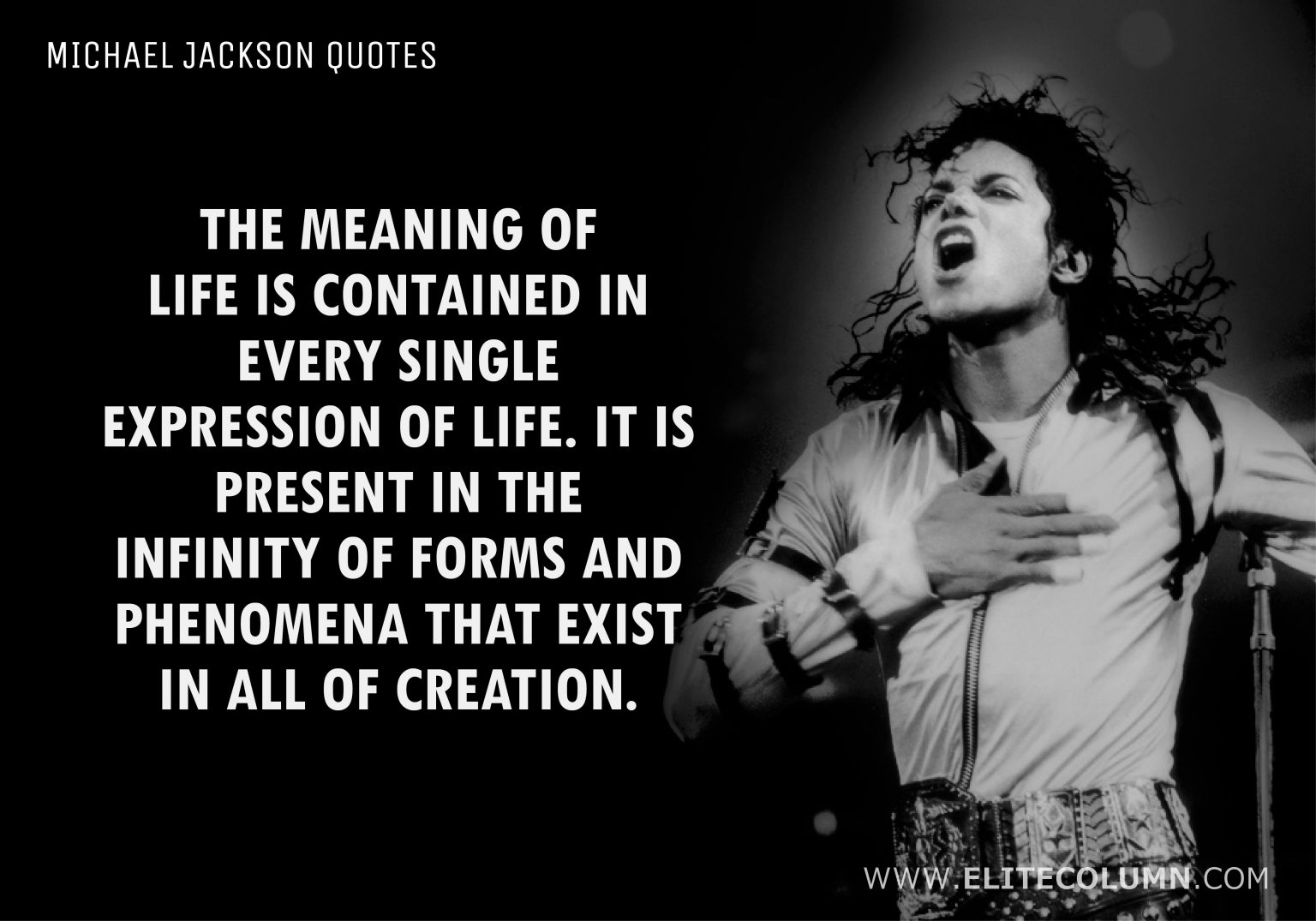 37 Michael Jackson Quotes That Will Inspire You 2021 Elitecolumn